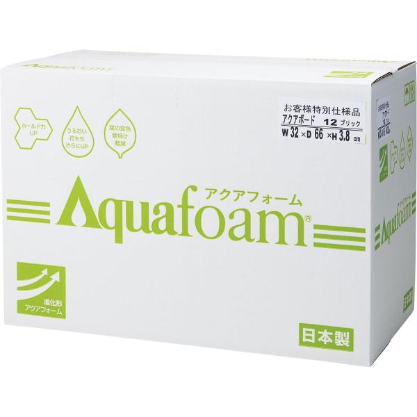 【商品番号：001-16874】/【VAR：】4958556118310/20180129new/999color10166フローラルフォーム(オアシス) 生花用ブリック