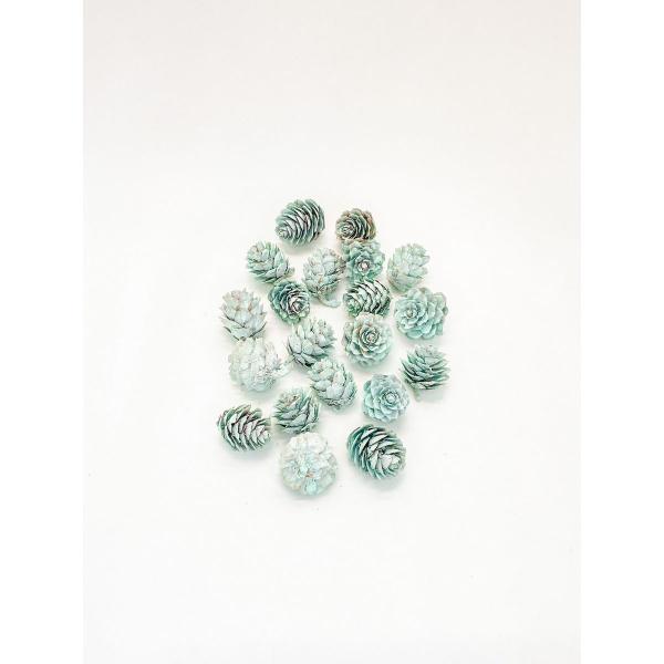 【商品番号：001-21282】/【VAR：81261】date20240820/まつむら通信/20250408MTドライ実物＆フルーツ 松かさ、から松