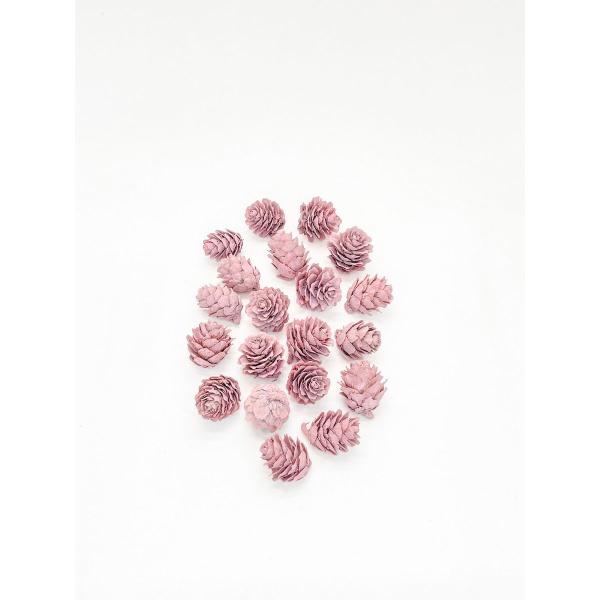 【商品番号：001-21283】/【VAR：81261】date20240820/まつむら通信/20250408MTドライ実物＆フルーツ 松かさ、から松