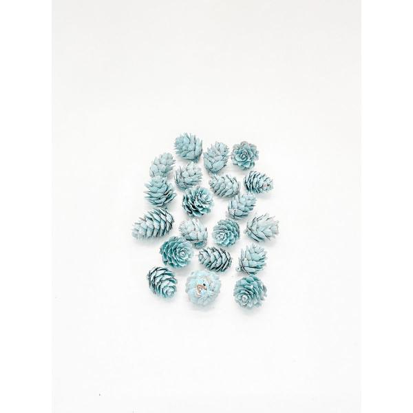 【商品番号：001-21284】/【VAR：81261】date20240820/まつむら通信/20250408MTドライ実物＆フルーツ 松かさ、から松