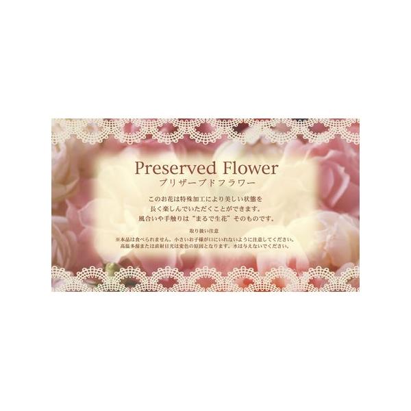 【商品番号：001-21601】/【VAR：84047】date20250402/20250408MTメッセージカード インストラクションカード・シール