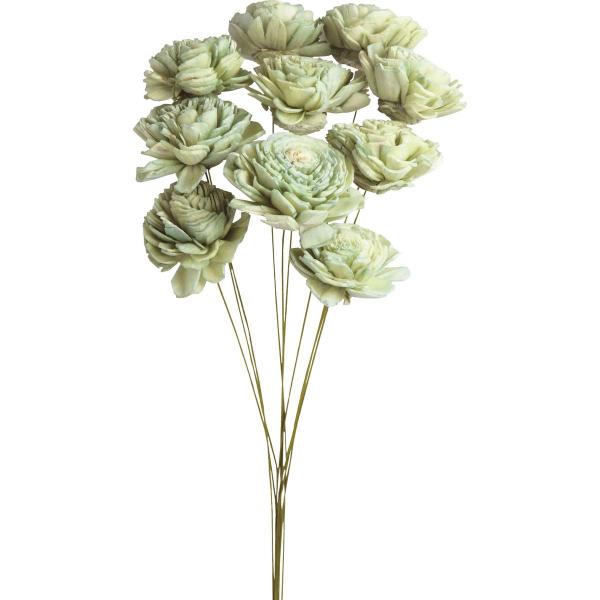 【商品番号：001-21671】/【VAR：29725】date20250402/20250408MTソラフラワー ソラローズ