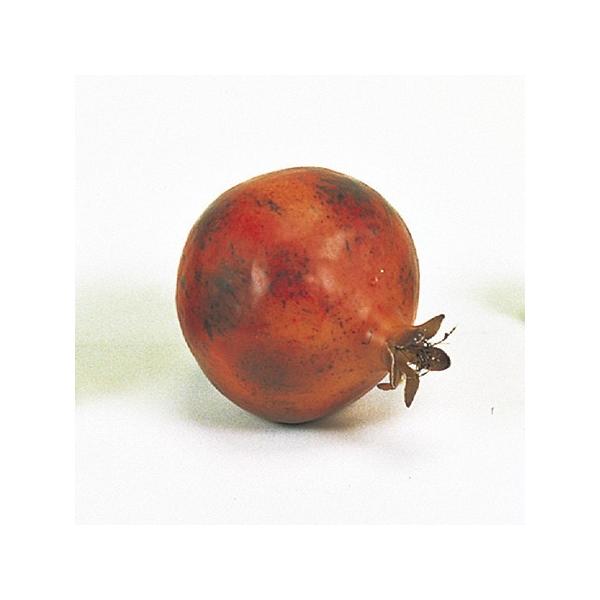 【商品番号：002-14903】/【VAR：】4967116702487/2014年1月新商品/4967116492036/bkz-0012/oso24m/art_bemi/202510mf造花実物、フェイクフルーツ フルーツ、ベジタブル【...