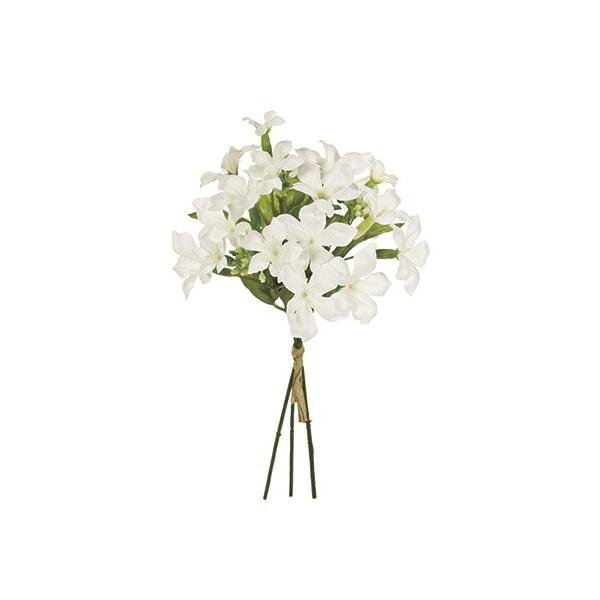 【商品番号：002-24400】/【VAR：】4967116542281/20160203new/asum-008/170929pu/171030pu/171207pu/180419pu/180516pu/t19ssab/bk-1040/b...