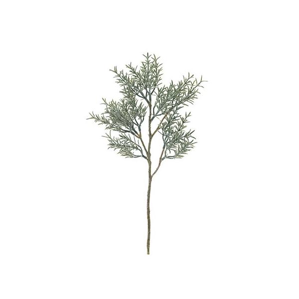 【商品番号：002-24632】/【VAR：】4967116598752/20160203new/A17haha-006/asum-013/bk-0031/m170613/171221pu/lamefr/15ax-023/16seijin-...