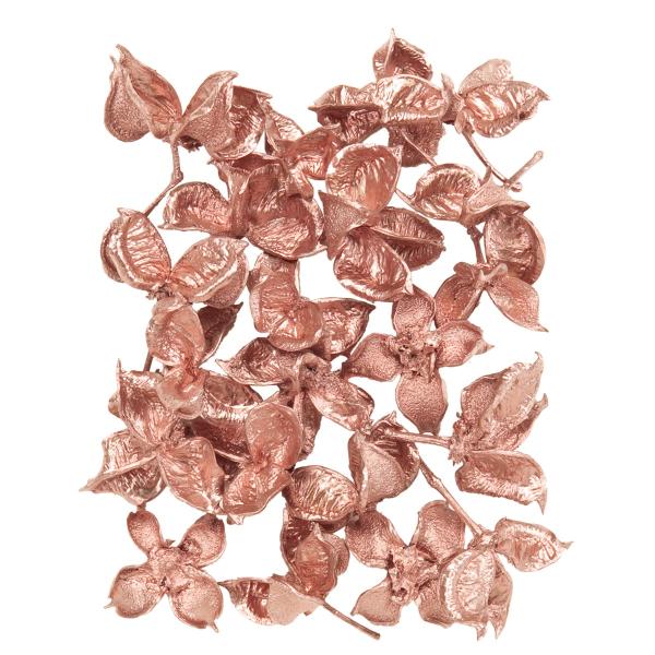 【商品番号：002-26133】/【VAR：8378】4940095744020/20160815new/15pny-006/16x-007ドライ実物＆フルーツ 木の実【アルスコーポレーション】