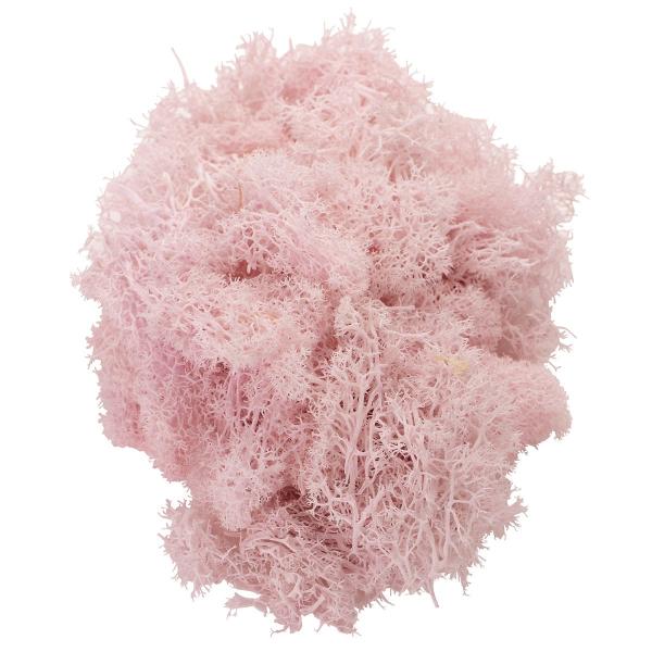 【商品番号：002-32830】/【VAR：5140】4967116472410/20180205new/bk-3017/milkypinkプリザーブドグリーン モス・苔