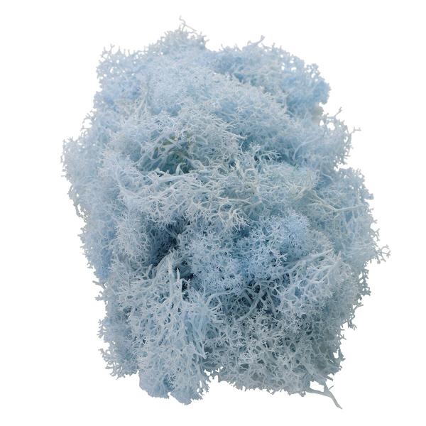 【商品番号：002-32832】/【VAR：5140】4967116472427/20180205new/bk-2001/bk-3017プリザーブドグリーン モス・苔