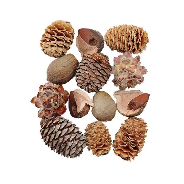 【商品番号：002-40136】/【販売単位】10袋 ※表示価格は、この単位での金額となります/【VAR：67451】20210814new/202510mfドライ実物＆フルーツ 木の実【コアトレーディング】