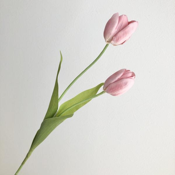 【商品番号：002-40654】/【VAR：70202】20220208new/bkz-0017/tkym24ss1/bkz-0303/oda2025_0220/bkz-0405/bkz-0503/202510mf造花 花材「た行」 チュー...