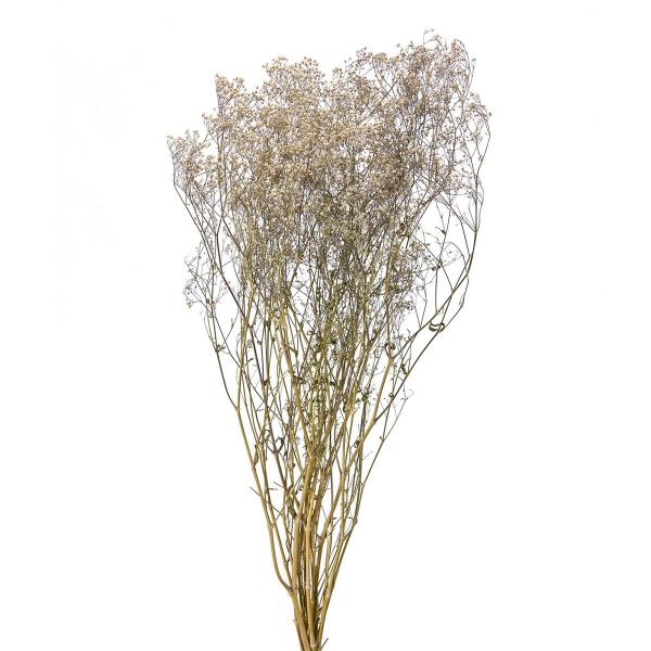 【商品番号：002-42145】/【VAR：】20220809new/bk-4006ドライフラワー花材 カスミ草