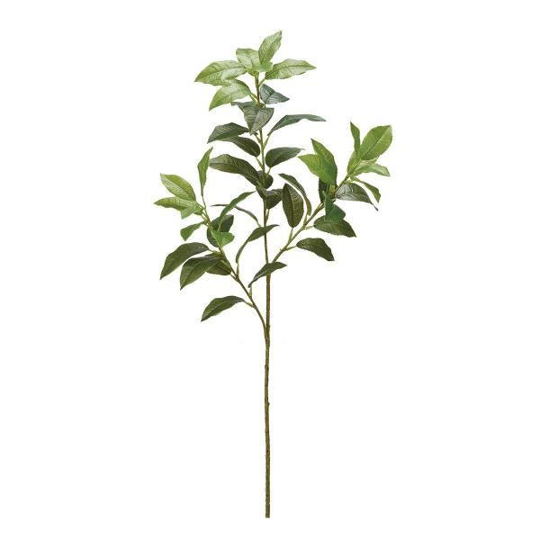 【商品番号：002-42643】/【VAR：】20230124new/202510mf造花葉物、フェイクグリーン サカキ【MAGIQ東京堂】