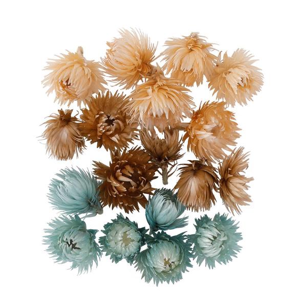 【商品番号：002-42749】/【VAR：】20230124new/bk-3016ドライフラワー花材 シルバーデージー