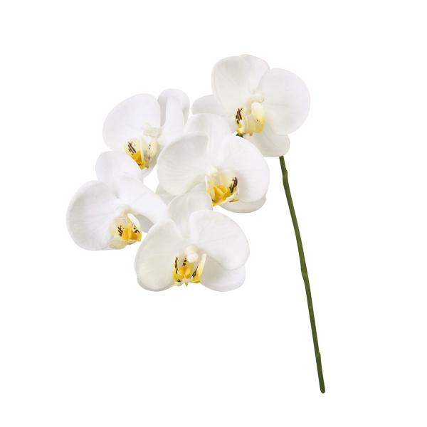 【商品番号：002-43369】/【VAR：76864】20230718new/tkym23aw33/color20230919/202510mf造花 花材「ら行」 ラン（蘭）・オーキッド【MAGIQ東京堂】