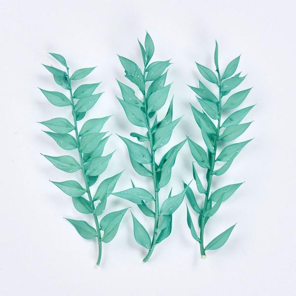 【商品番号：002-44941】/【VAR：82607】date20240809/999color10212ドライ葉物 葉物