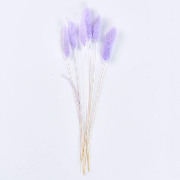 【商品番号：002-44945】/【VAR：82608】date20240809/999color10212/202510mfドライフラワー花材 ラグラス