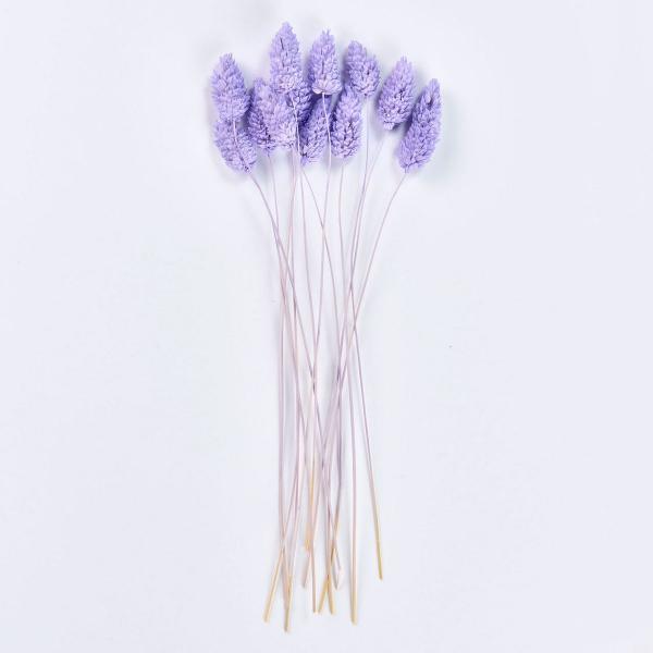 【商品番号：002-44951】/【VAR：82609】date20240809/999color10212ドライフラワー花材 ポアプランツ