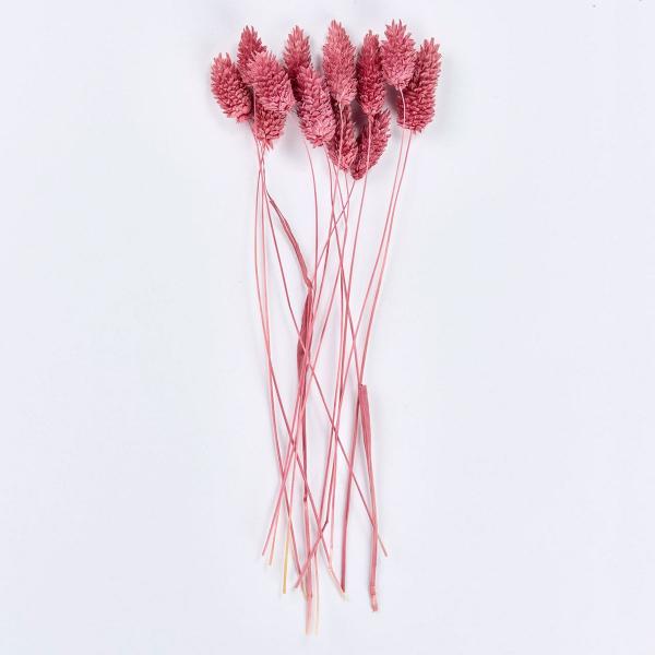 【商品番号：002-44952】/【VAR：82609】date20240809/999color10212ドライフラワー花材 ポアプランツ