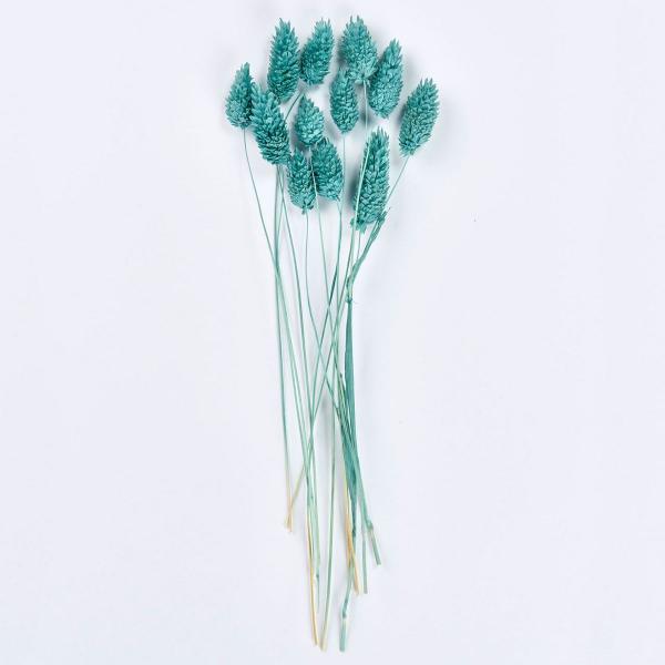 【商品番号：002-44953】/【VAR：82609】date20240809/999color10212ドライフラワー花材 ポアプランツ