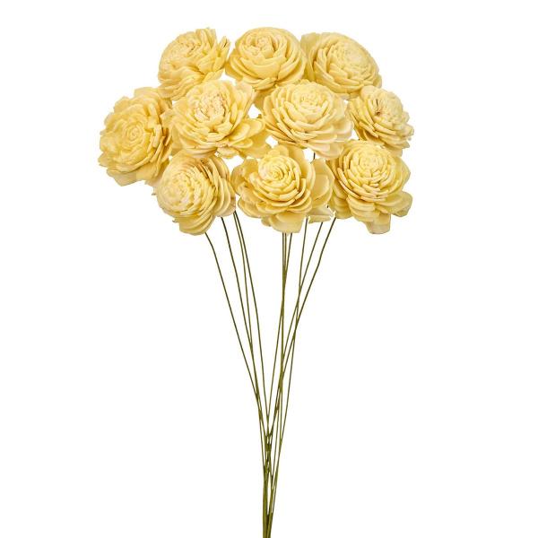 【商品番号：002-45845】/【VAR：5150】date20250121/202510mfソラフラワー ソラローズ