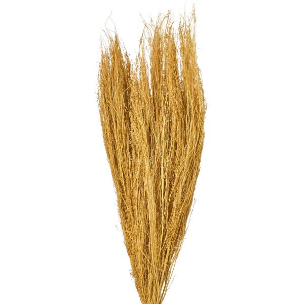 【商品番号：002-46918】/【VAR：】date20250610ドライフラワー花材 その他ドライフラワー