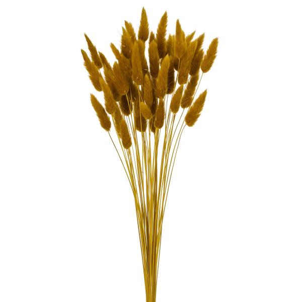 【商品番号：002-46920】/【VAR：28086】date20250610ドライフラワー花材 ラグラス