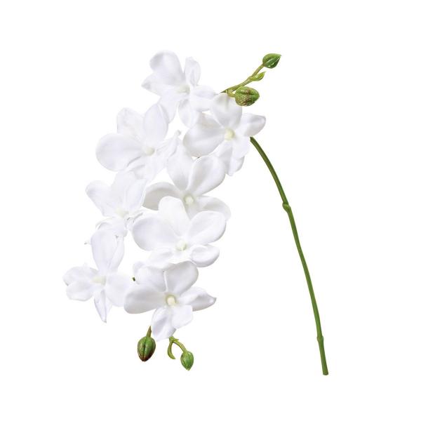 【商品番号：002-47116】/【VAR：85197】date20260113造花 花材「ら行」 ラン（蘭）・オーキッド【MAGIQ東京堂】