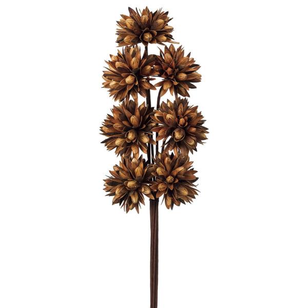 【商品番号：002-47613】/【VAR：32525】date20260113ドライフラワー花材 その他ドライフラワー