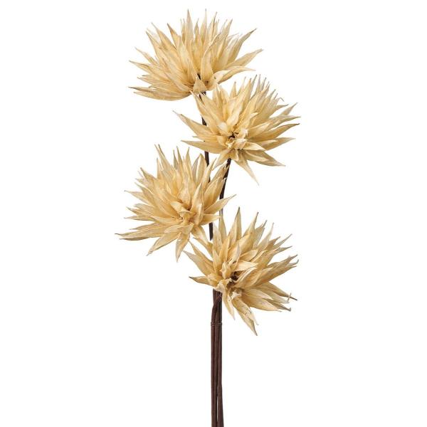 【商品番号：002-47616】/【VAR：32524】date20260113ドライフラワー花材 その他ドライフラワー