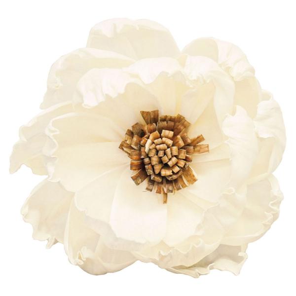 【商品番号：002-47620】/【VAR：32636】date20260113ソラフラワー その他ソラフラワー