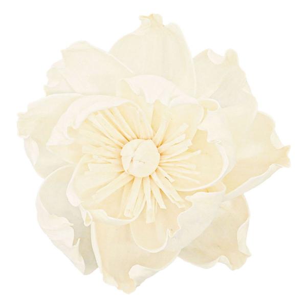 【商品番号：002-47625】/【VAR：88427】date20260113ソラフラワー その他ソラフラワー