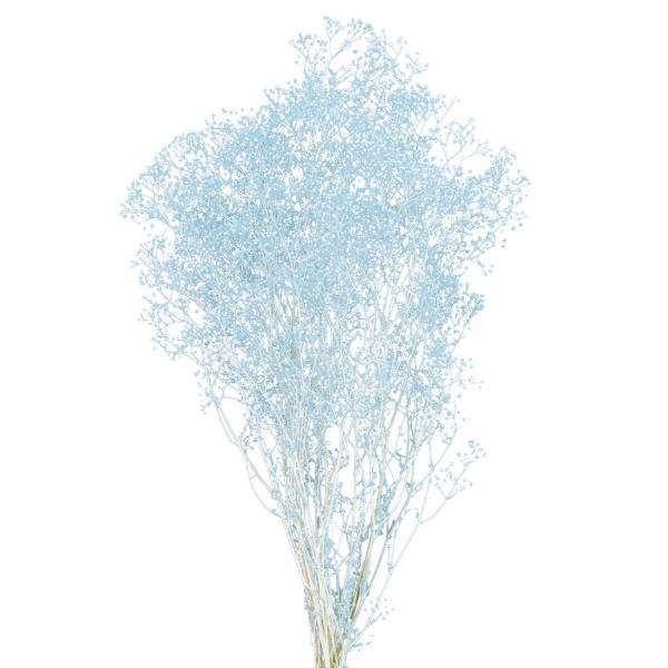 【商品番号：002-47646】/【VAR：80189】date20260113プリザーブドフラワー花材 カスミ草