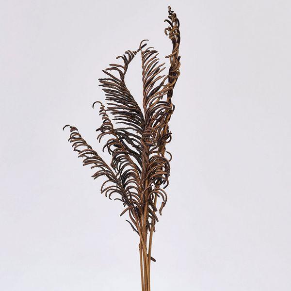 【商品番号：002-47954】/【VAR：】date20260319ドライ葉物 葉物【東京堂】