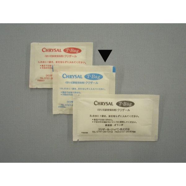 【商品番号：003-00006】/【VAR：51695】/20180319new切花延命剤・栄養剤 クリザール