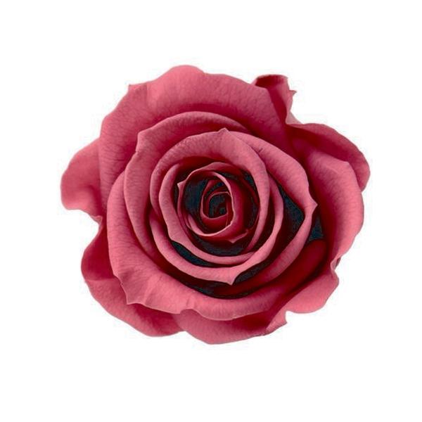 【商品番号：028-01145】/【VAR：56689】20190327new/bk-2022/hahanohi/16v-003/bk-3002プリザーブドフラワー花材 バラ（ローズ）【ヴェルディッシモ】