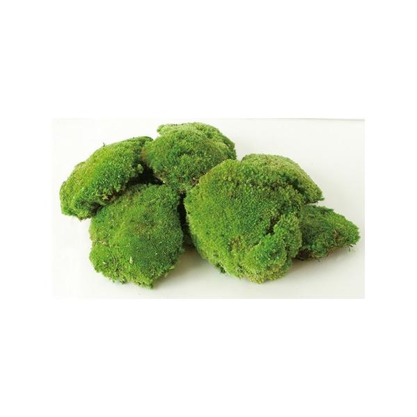 【商品番号：028-01305】/【VAR：17058】20210222new/bk-3017プリザーブドグリーン モス・苔【ヴェルディッシモ】