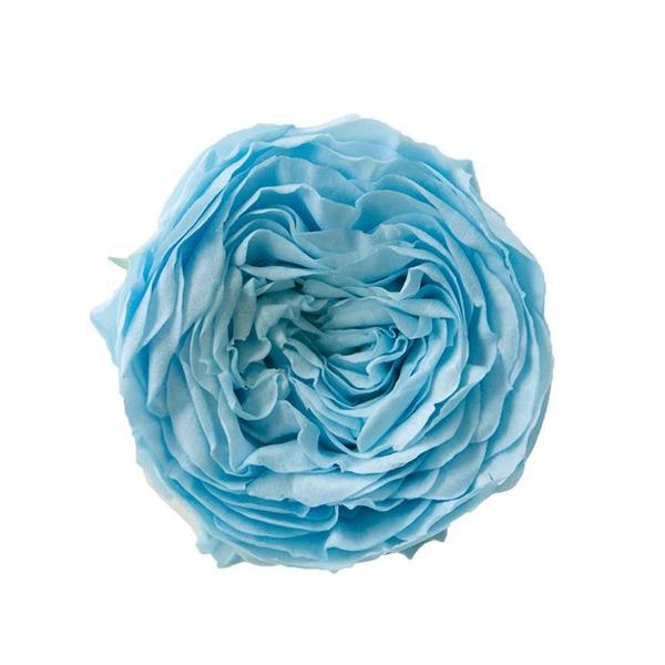 【商品番号：028-01371】/【VAR：65620】20220326new/psum-001/17love001/bk-3001プリザーブドフラワー花材 バラ（ローズ）