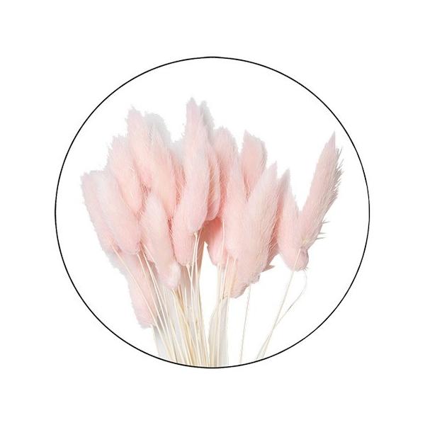 【商品番号：028-01431】/【VAR：18064】20220326new/fuwa2020/bk-3016/bk-502ドライフラワー花材 ラグラス【GARDEN PALETTE MONO】