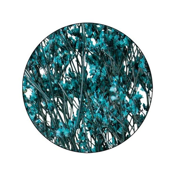 【商品番号：028-01511】/【VAR：67497】20220606new/mo0606newドライフラワー花材 スターチス【GARDEN PALETTE MONO】