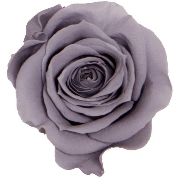 【商品番号：028-01551】/【VAR：18231】20230131new/bk-3001プリザーブドフラワー花材 バラ（ローズ）【GARDEN PALETTE MONO】