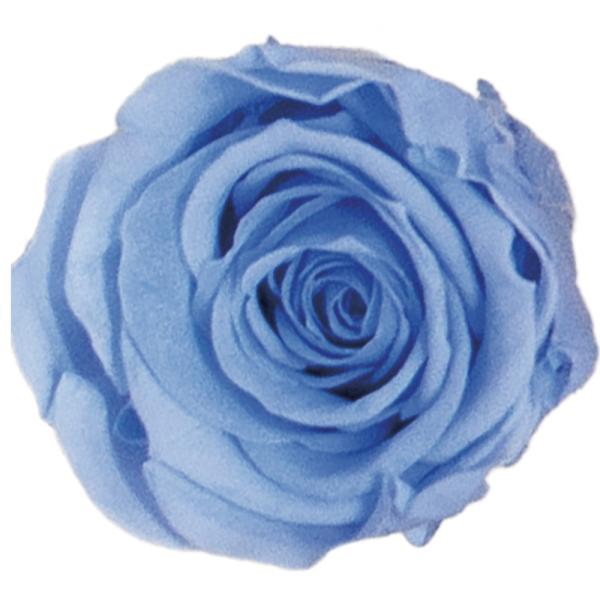 【商品番号：028-01555】/【VAR：67605】20230131new/bk-3001/color20230919/bk-4001プリザーブドフラワー花材 バラ（ローズ）【GREENHOUSE】