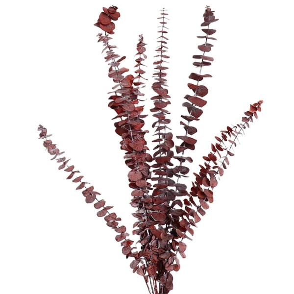 【商品番号：028-01568】/【VAR：67608】20230131new/bk-3010/color20230919プリザーブドグリーン 葉物