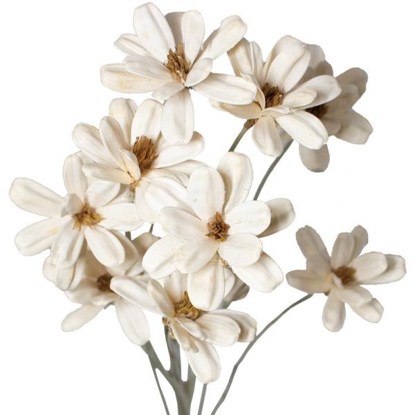 【商品番号：028-01569】/【VAR：67609】20230131new/bk-3019ソラフラワー その他ソラフラワー【GARDEN PALETTE MONO】