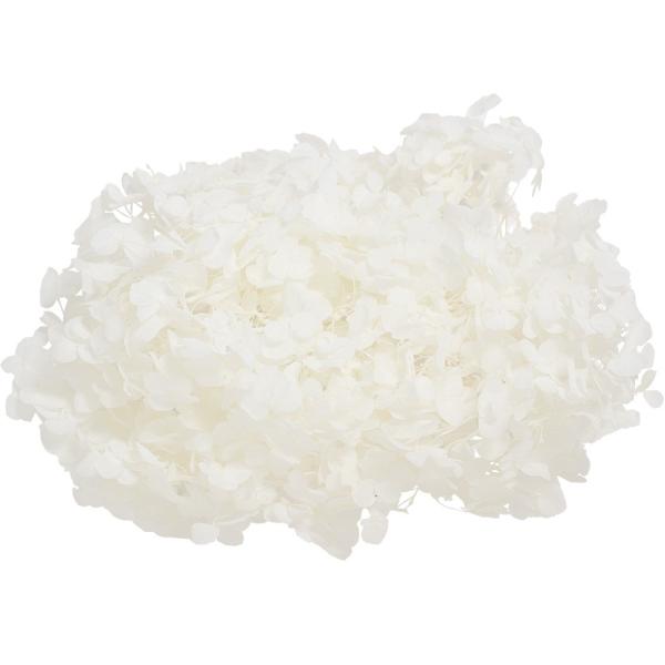 【商品番号：028-01583】/【VAR：18260】20230404new/bk-3004/bk-4004/bk-5004プリザーブドフラワー花材 アジサイ【GARDEN PALETTE MONO】