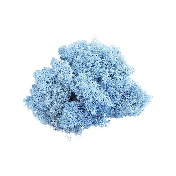 【商品番号：028-01677】/【VAR：18062】20230530newプリザーブドグリーン モス・苔【GARDEN PALETTE MONO】