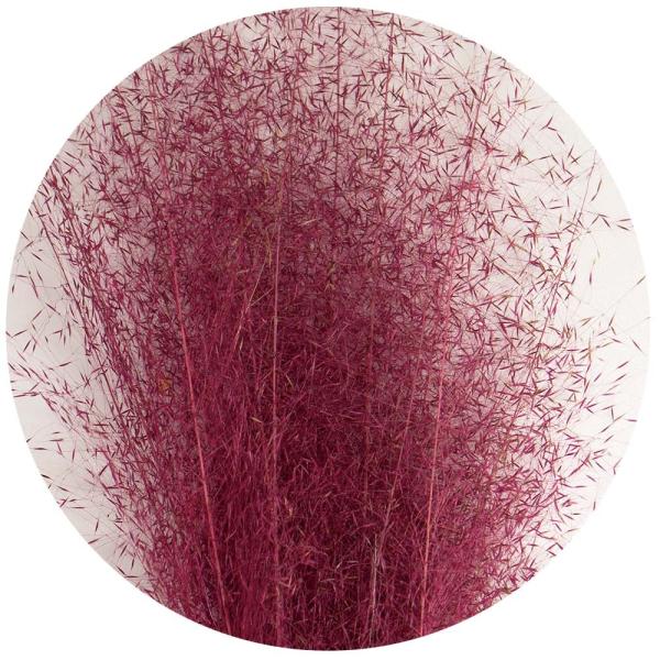 【商品番号：028-01686】/【VAR：67646】20230530new/fuw-01ドライ穂物 その他