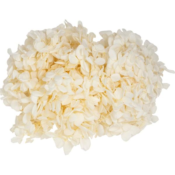 【商品番号：028-01781】/【VAR：56602】date20230807/bk-4004プリザーブドフラワー花材 アジサイ【GARDEN PALETTE MONO】