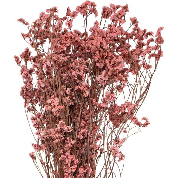 【商品番号：028-01786】/【VAR：67497】date20230807/color20230919ドライフラワー花材 スターチス【GARDEN PALETTE MONO】