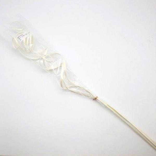 【商品番号：028-01818】/【VAR：77123】date20231027/50760-011ドライ枝物 塗り枝・サラシ・ドライ【大地農園】