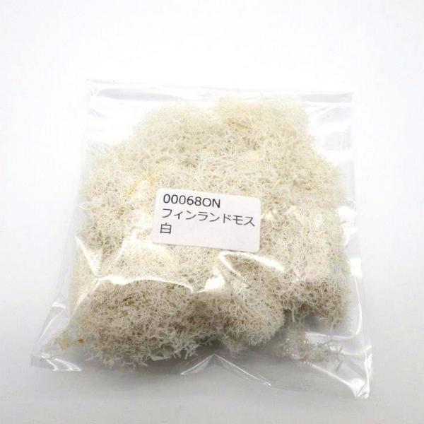 【商品番号：028-01871】/【VAR：】date20231027/61151-011/bk-4008プリザーブドグリーン モス・苔【大地農園】